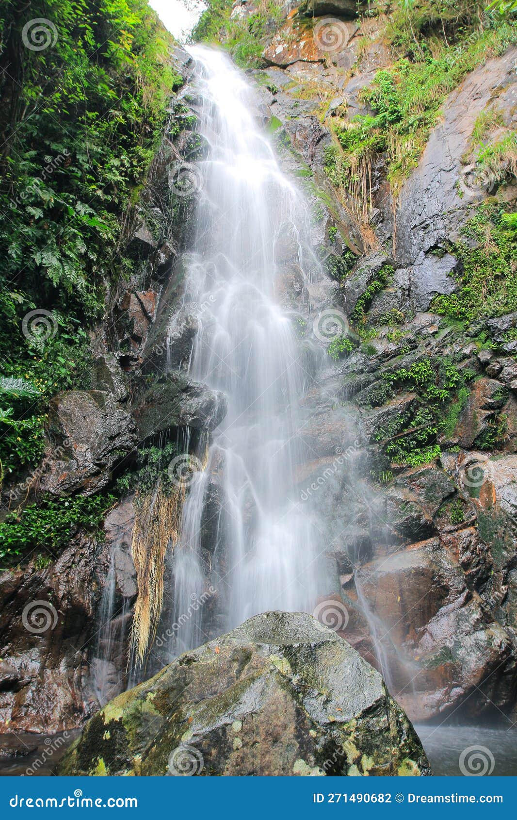 Concept Nature Ng Tung Chai Cascade Hk Photo stock - Image du ...
