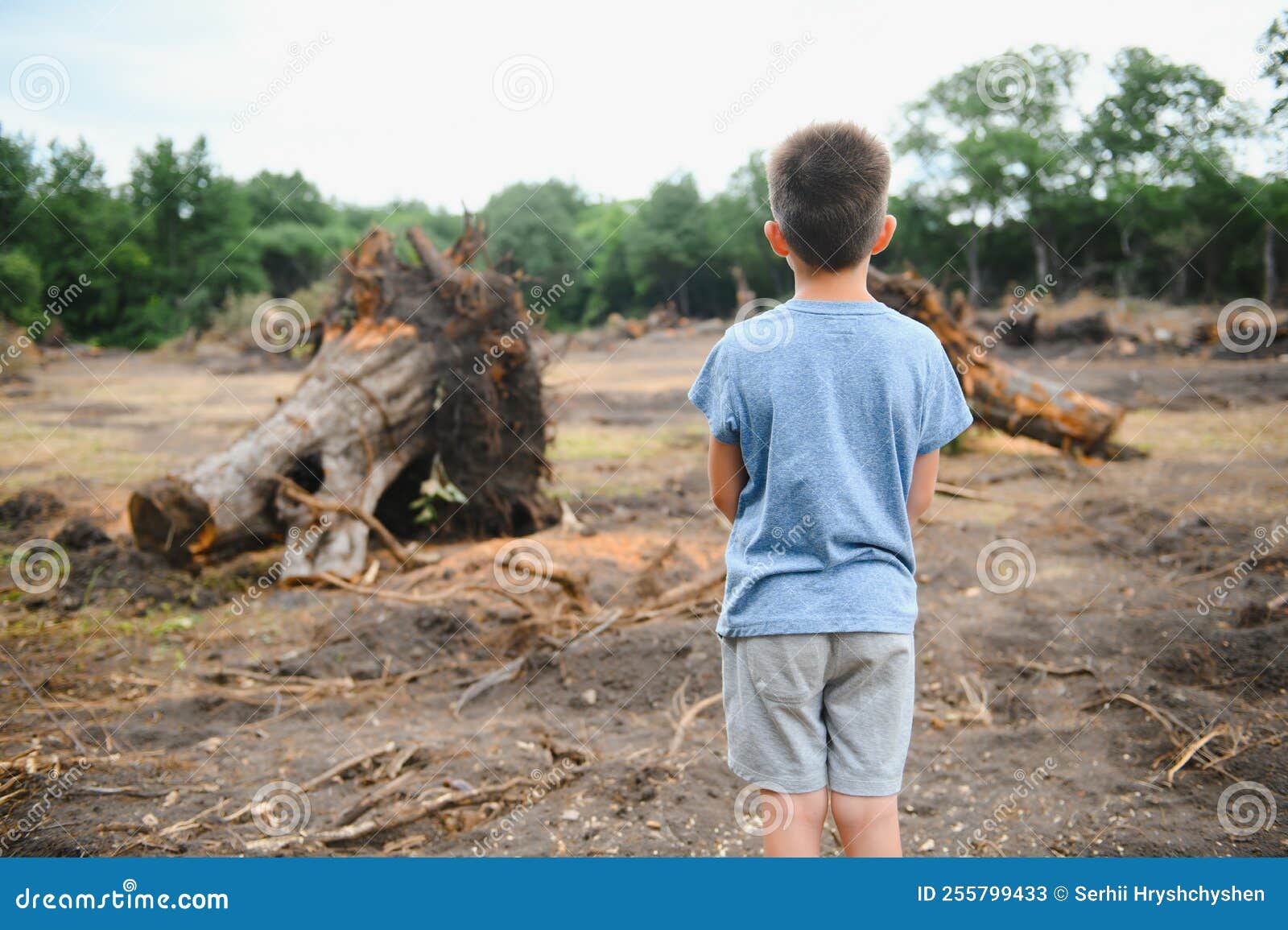 The Concept of Nature Protection. Deforestation. Stock Image - Image of ...
