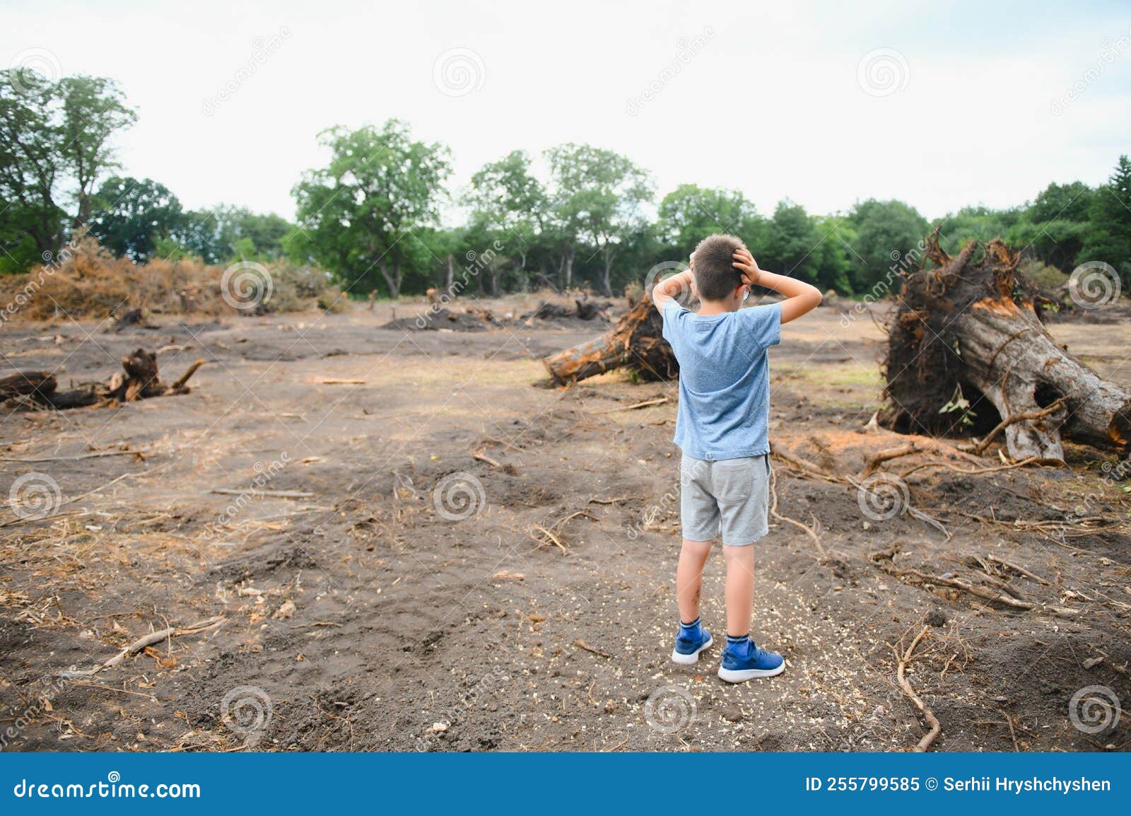 The Concept of Nature Protection. Deforestation. Stock Image - Image of ...