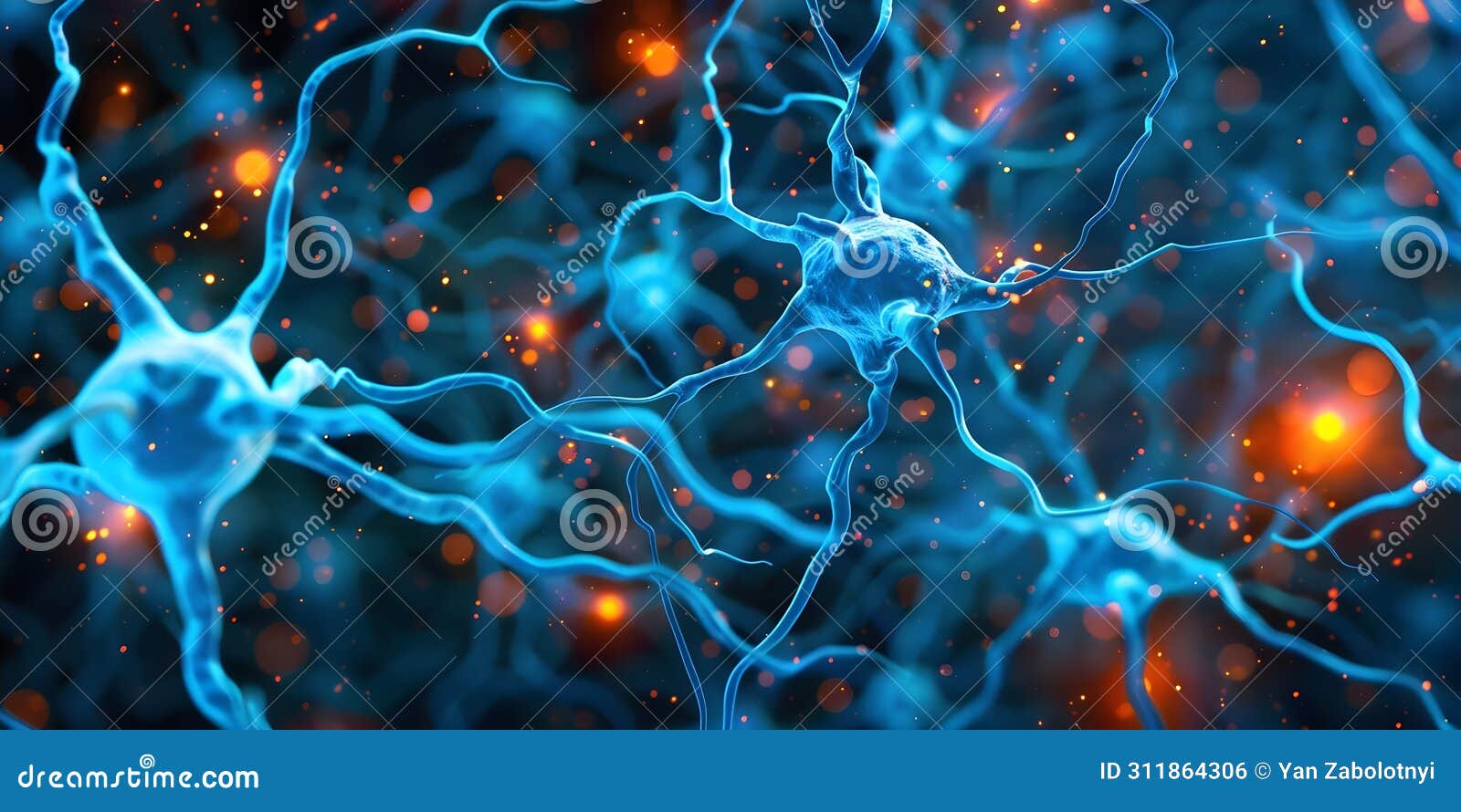 Understanding Neuronal Communication A Comprehensive Visual Guide To ...