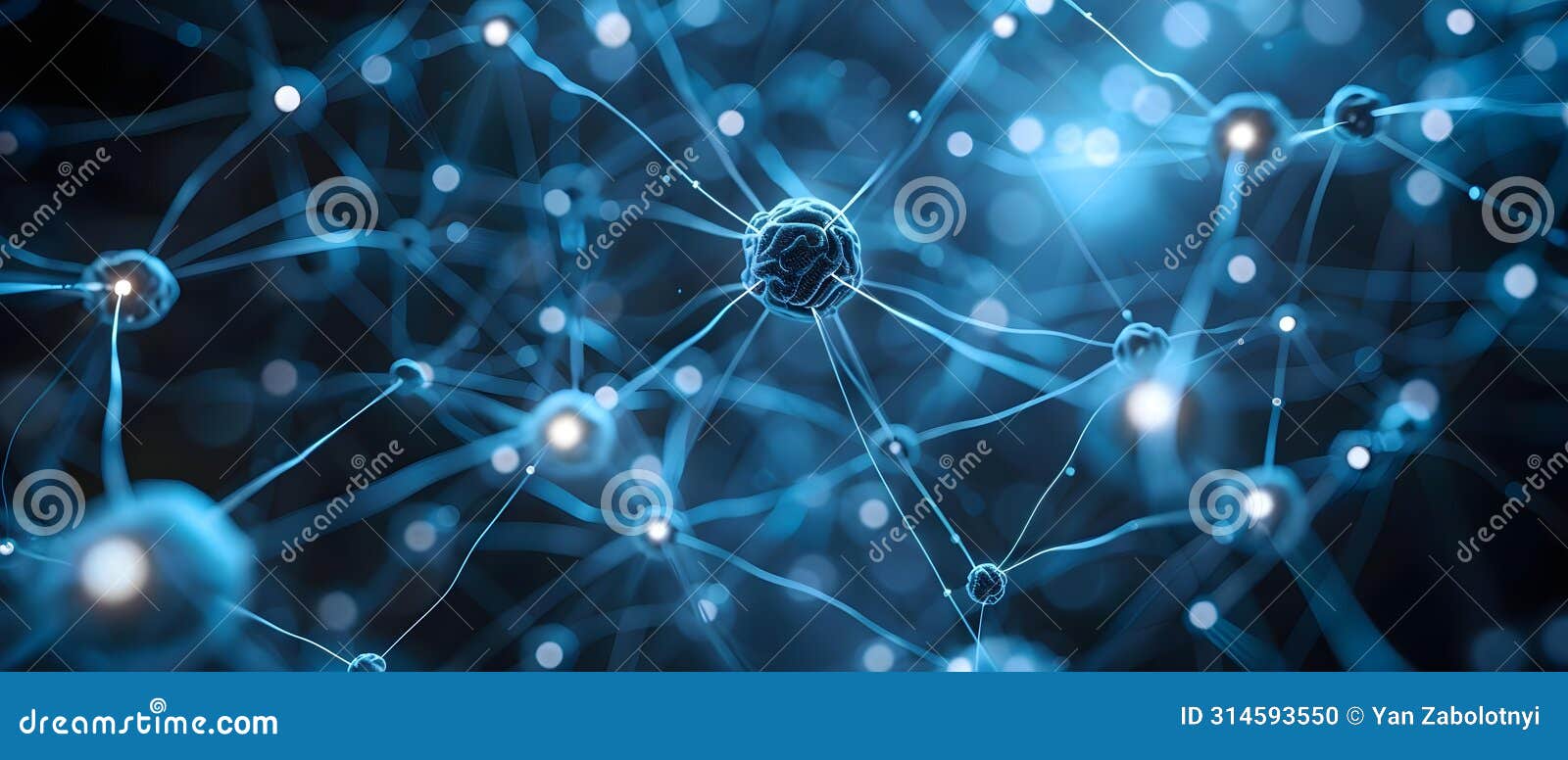 Concept Of Neuroplasticity, Brain Learning Ability Development In ...