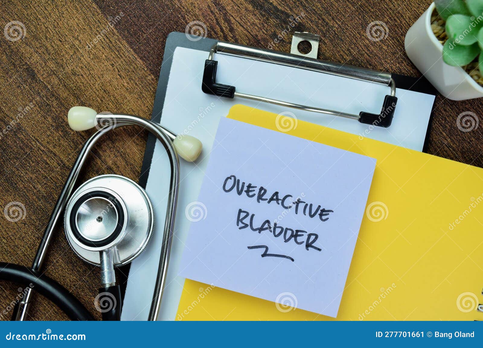 Overactive Bladder Is Shown Using The Text. Diagnosis Of Urologic ...