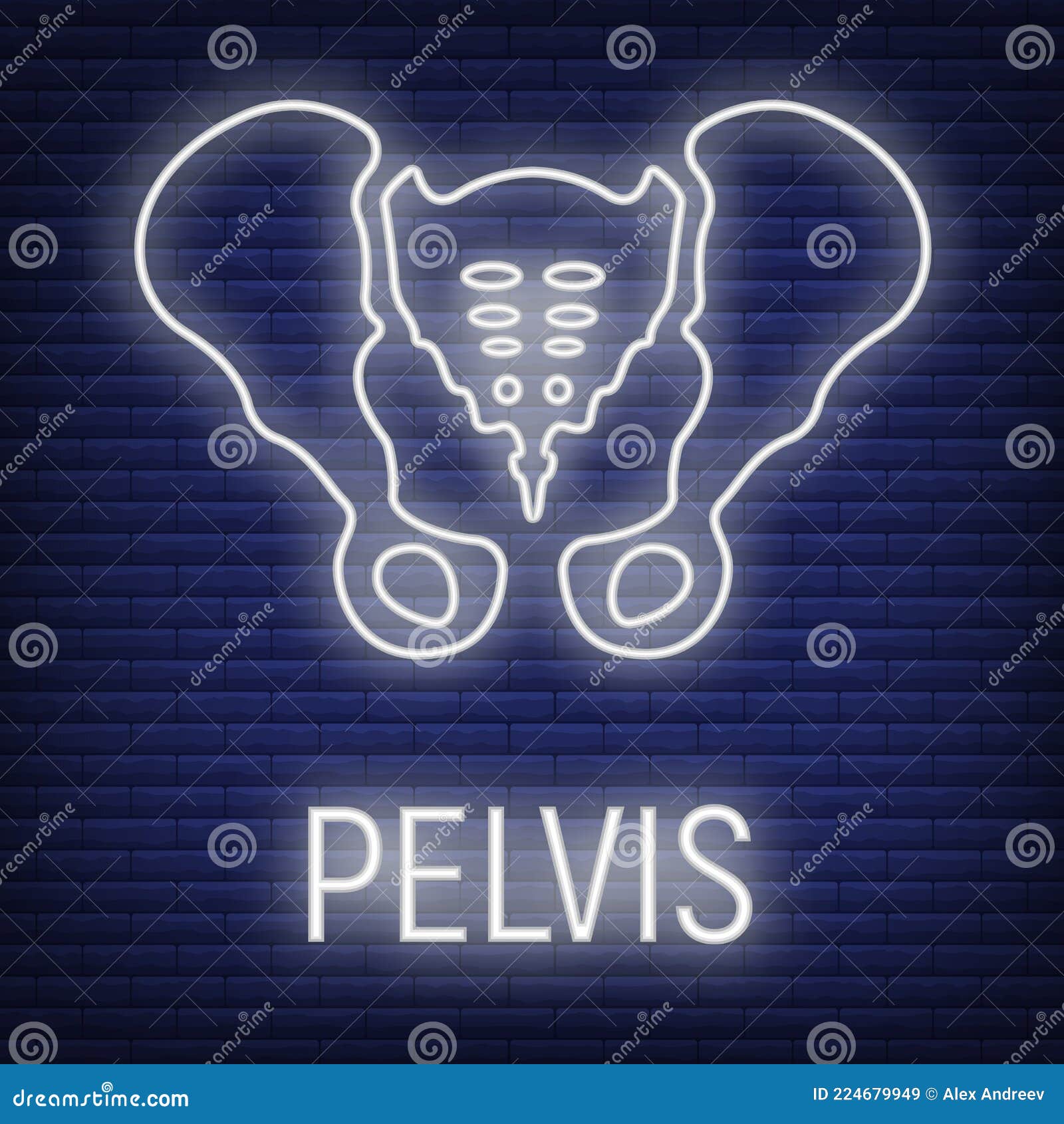 Concept Pelvis Bone Icon Glow Neon Style Skeleton Part Organism