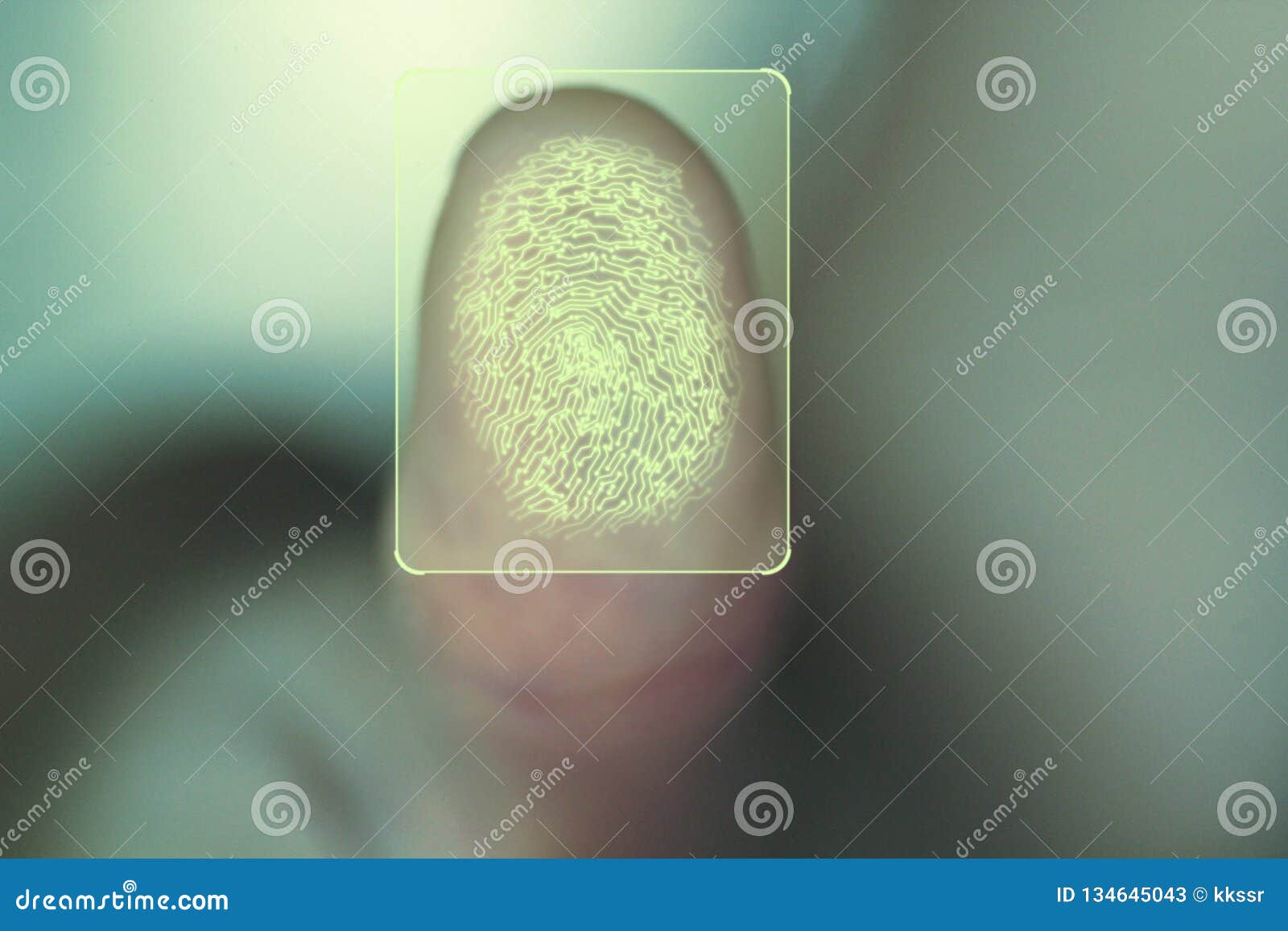 Concept for Personal and Corporate Security Using Biometric Identity ...
