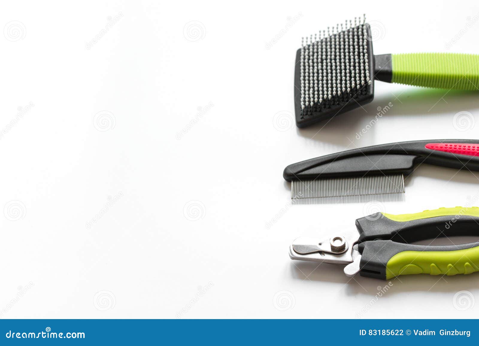 Concept Pet Care and Grooming on White Background Top View Stock Photo ...