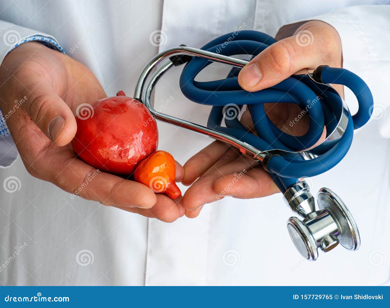 Urine Bladder Suprapubic Puncture Biopsy Or Cystoscopy Procedure ... Urine Bladder Suprapubic Puncture Biopsy Or Cystoscopy Procedure ...