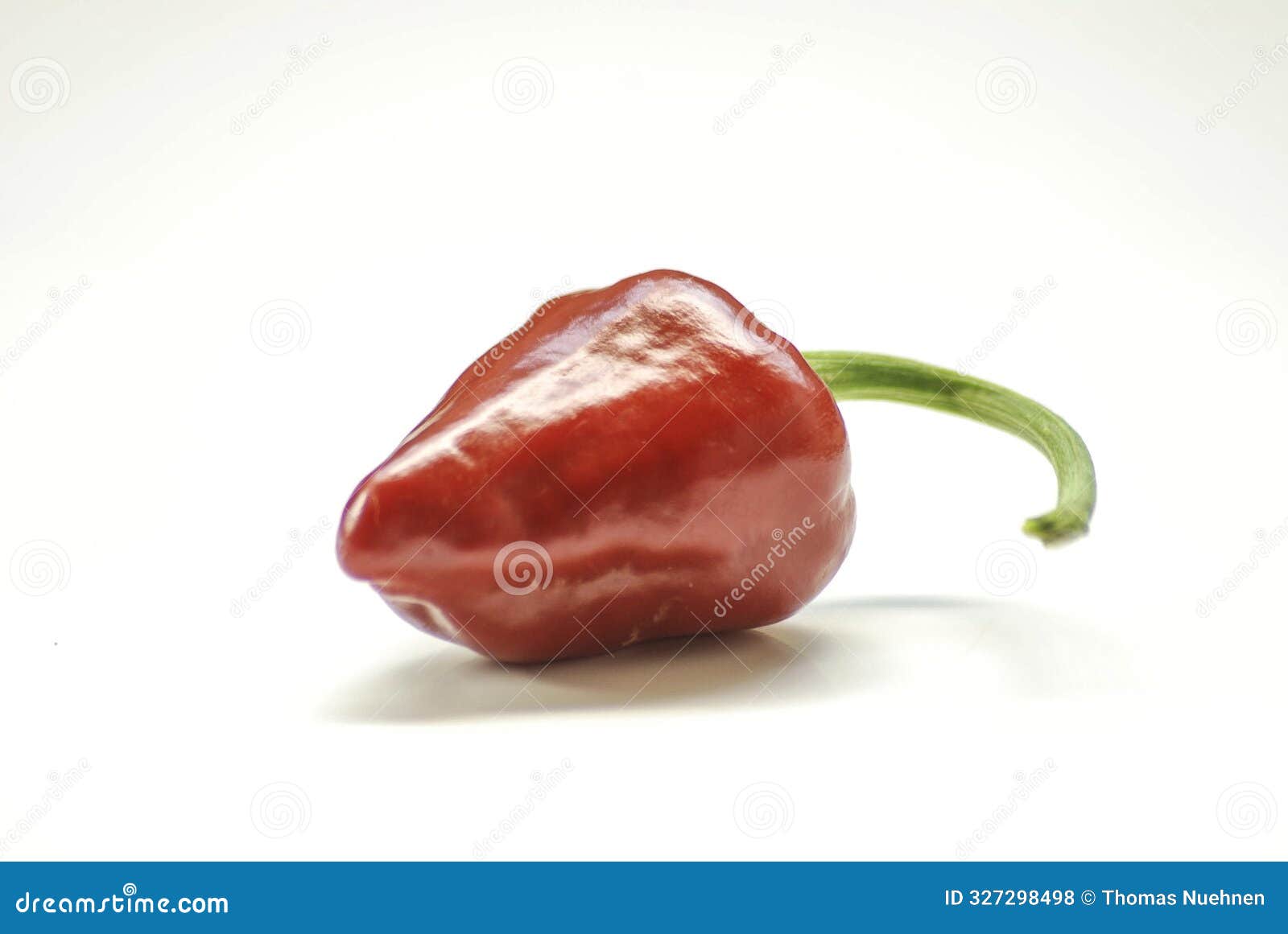 Red Chilli Isolated on White Stock Photo - Image of pepperoni, kitchen ...