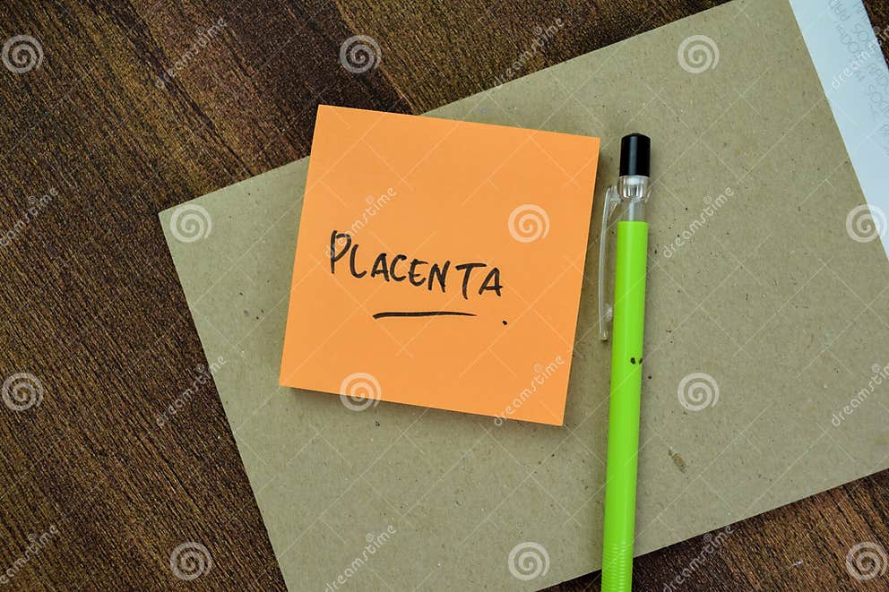 Concept Of Placenta Write On Sticky Notes Isolated On Wooden Table