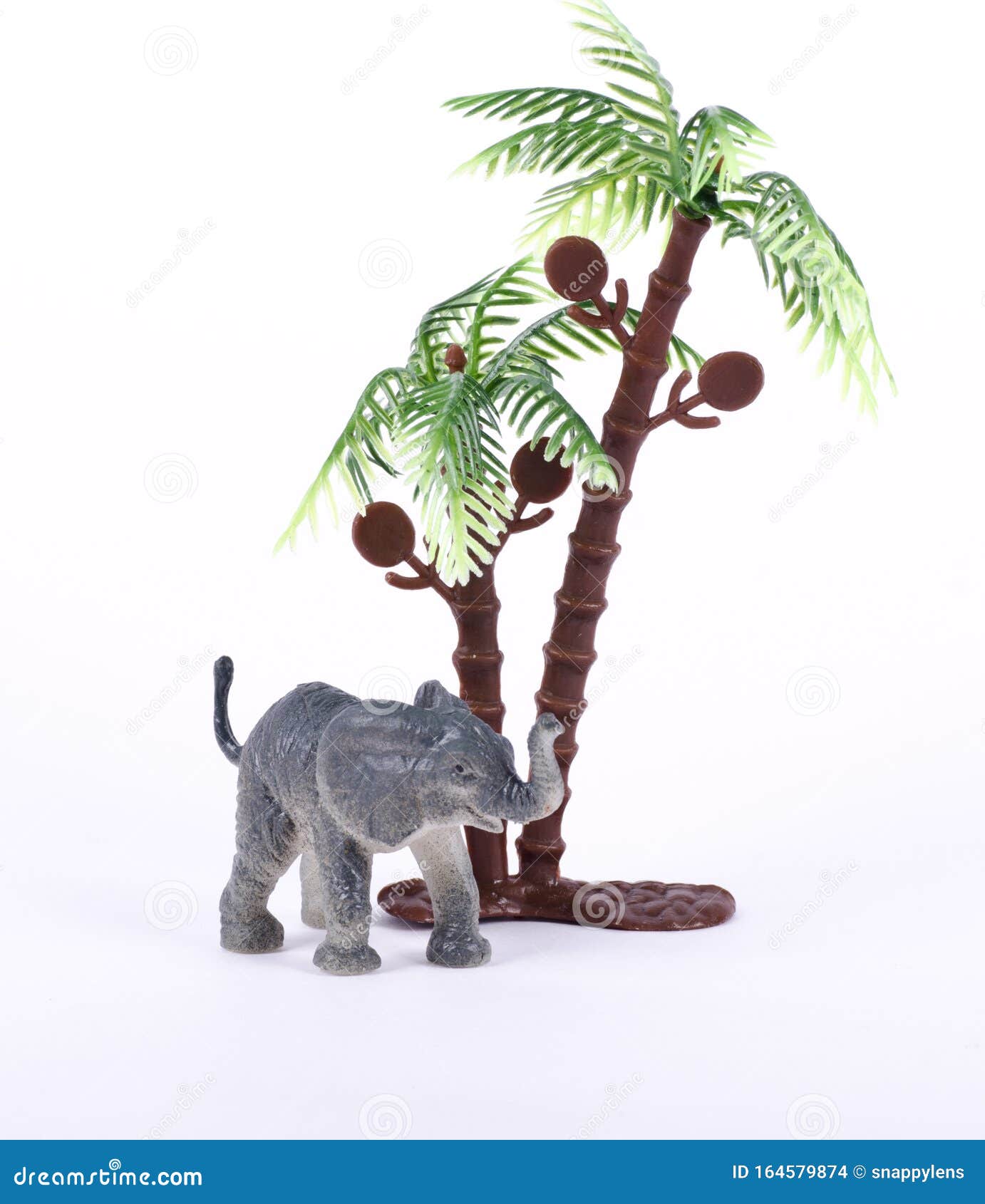 Elephant and coconut stock photo. Image of coconut, tusker - 164579874