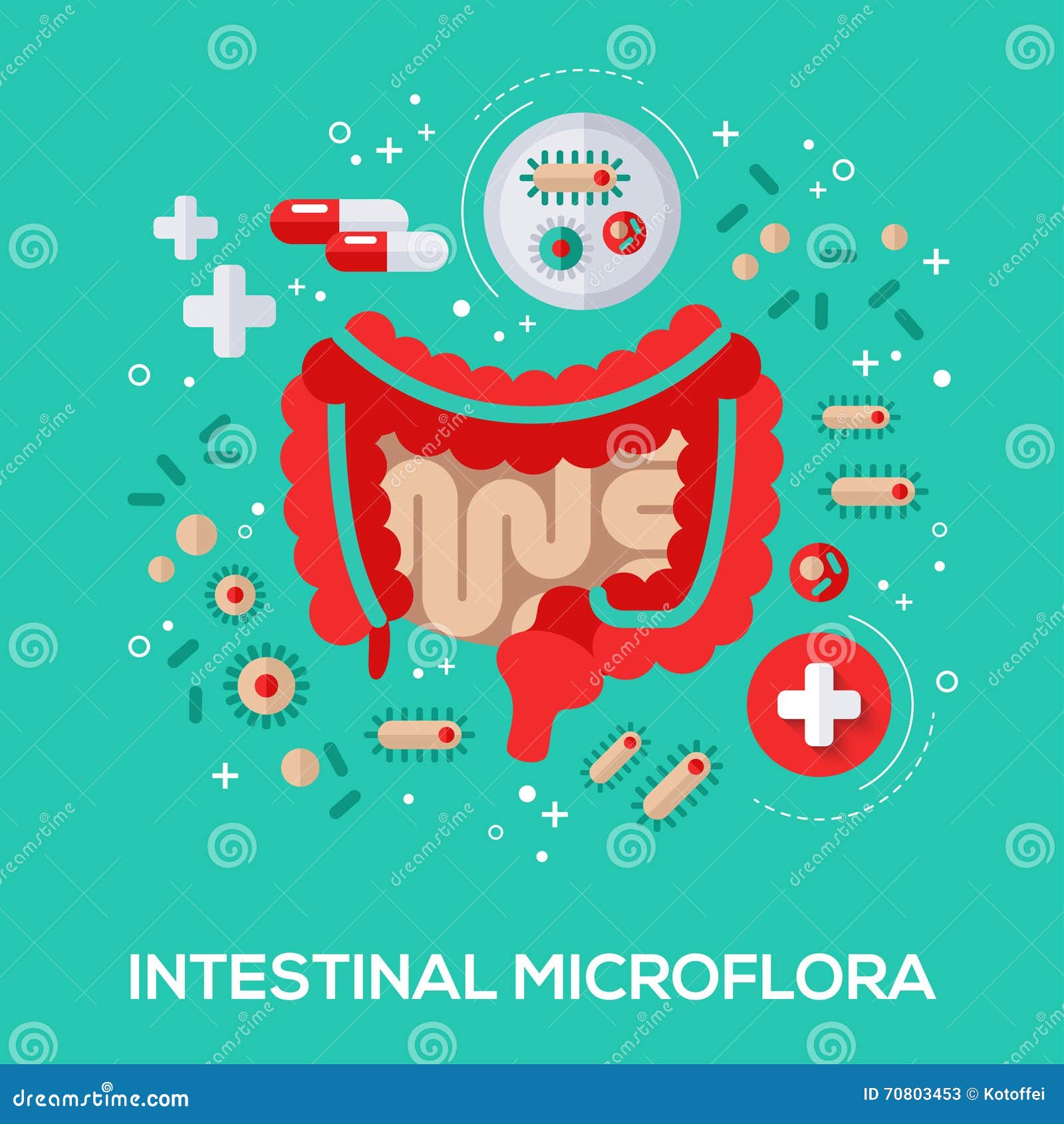Concept Plat D'icônes De Flore Microbienne Intestinale Illustration de ...