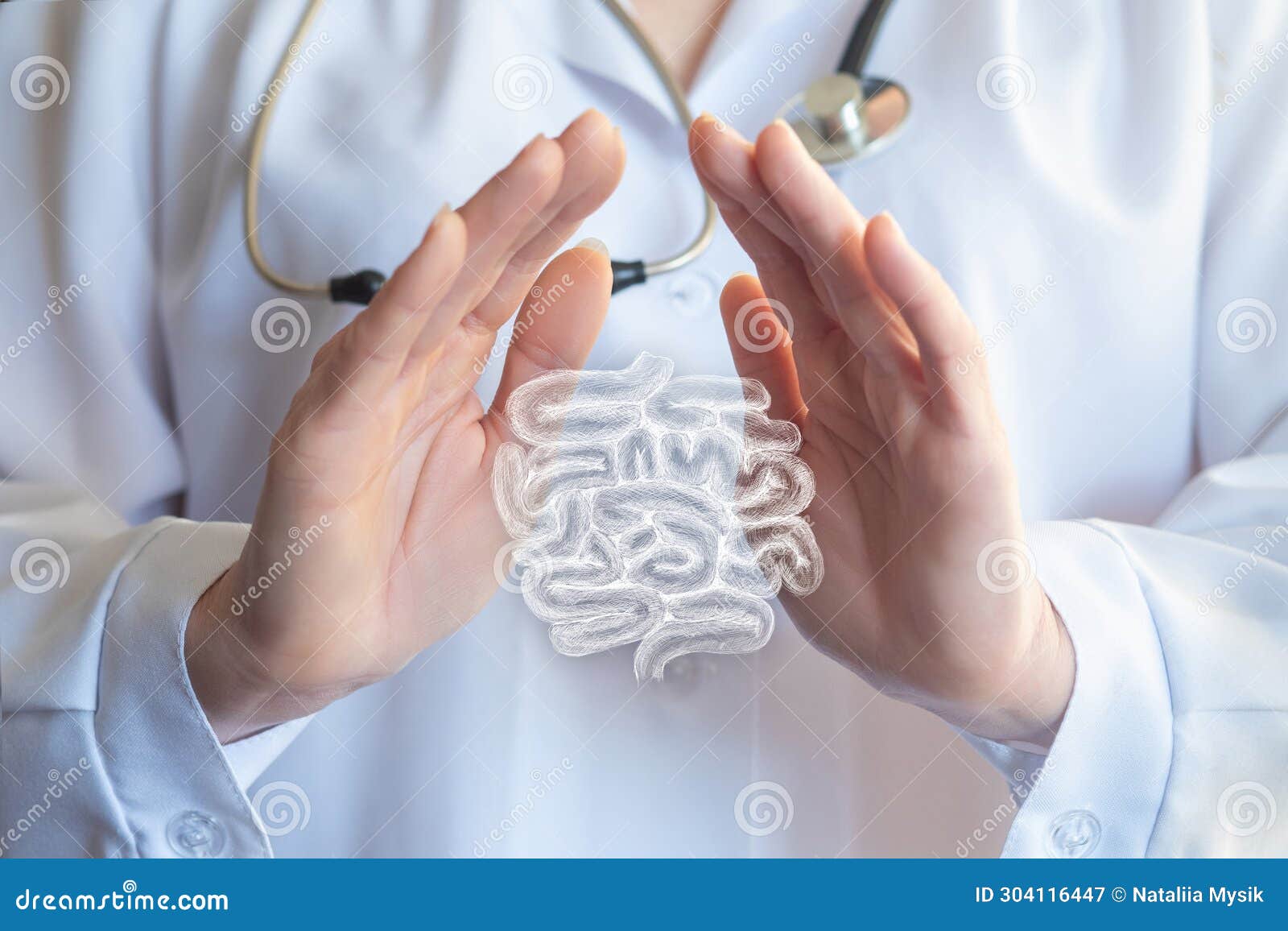 Concept of Protecting the Intestines Stock Image - Image of display ...