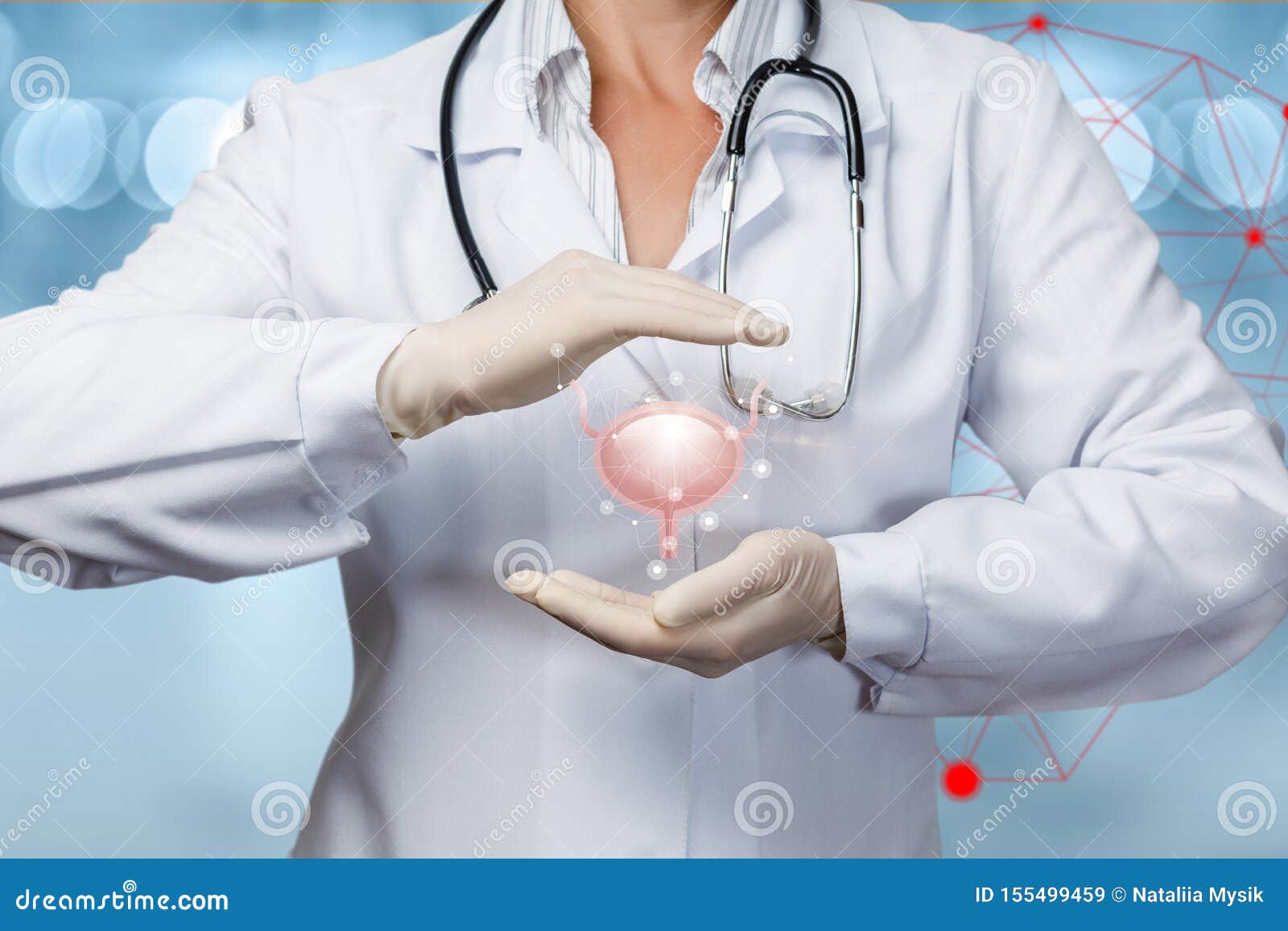 The Concept of the Protection and Support of the Bladder Stock Image ...