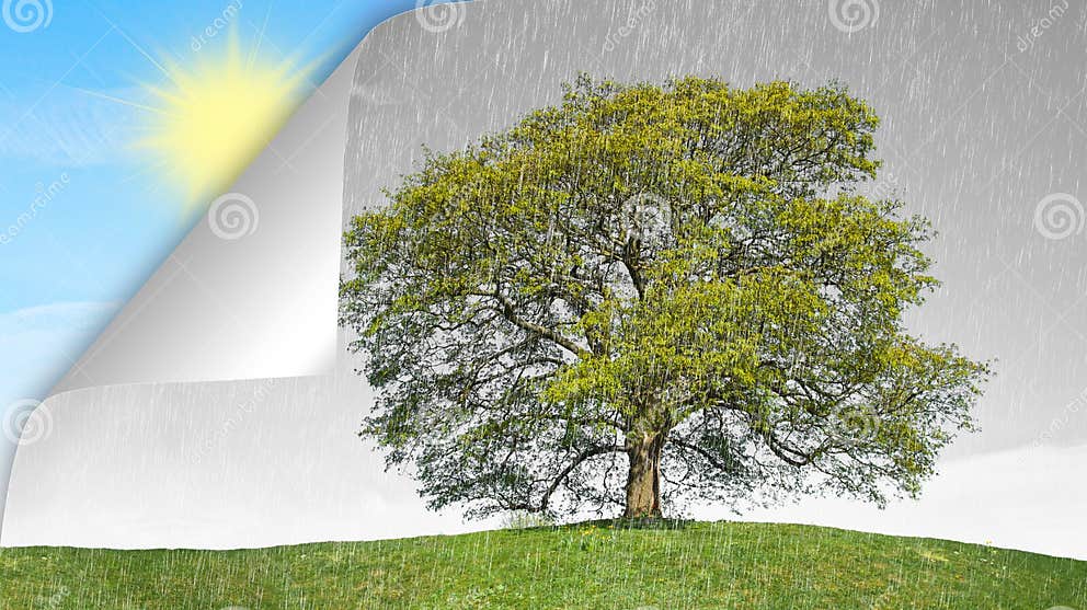 Concept rain vs sun stock image. Image of clear, night - 29212055