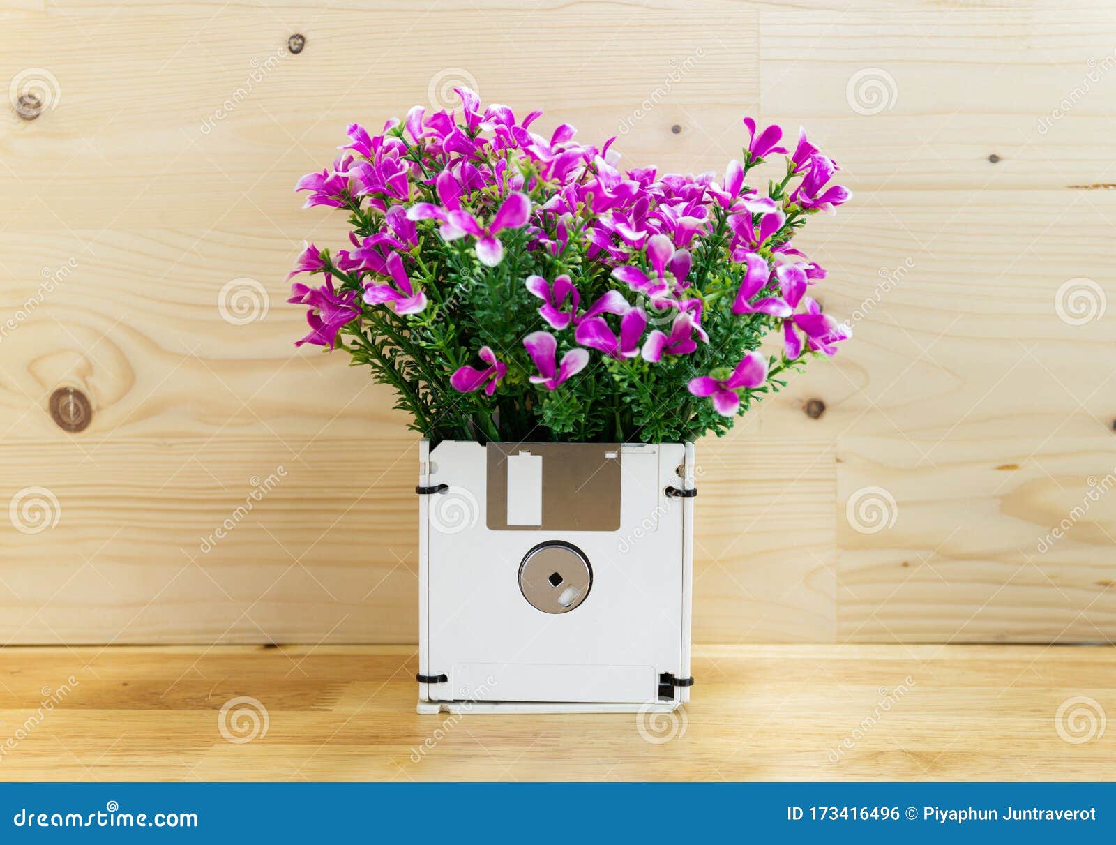 Concept Recycle Floppy Disk, Flower in Disk Box, Creative Objects Used ...