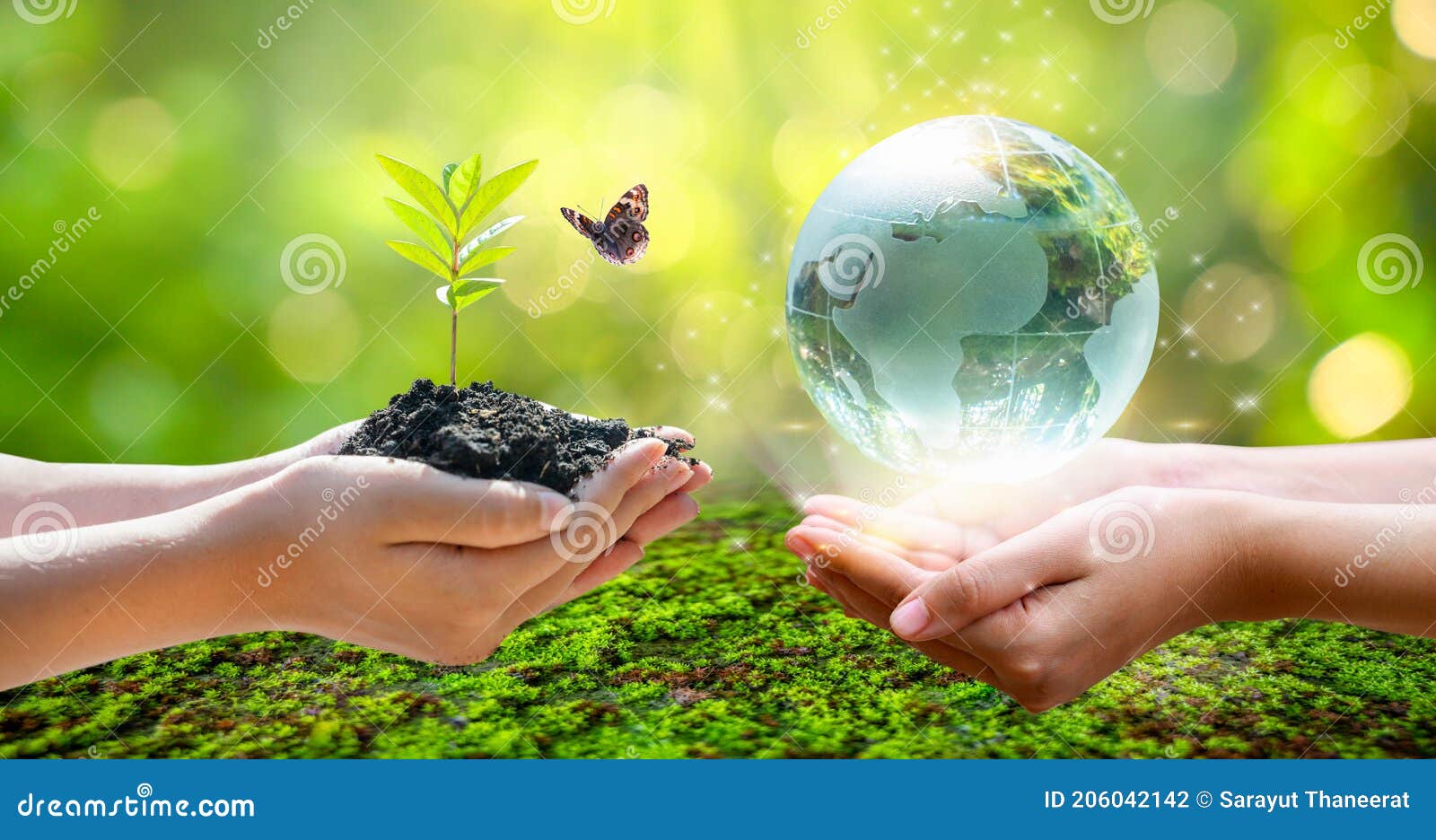 Concept Save the World Save Environment the World is in the Grass of ...