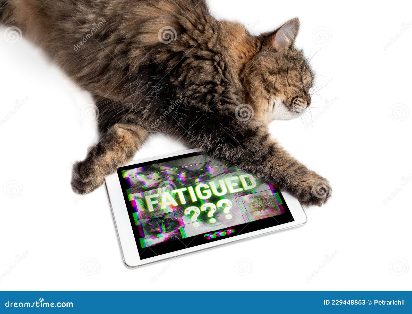 Concept for Screen Fatigue with Cat Stock Image - Image of fluffy ...
