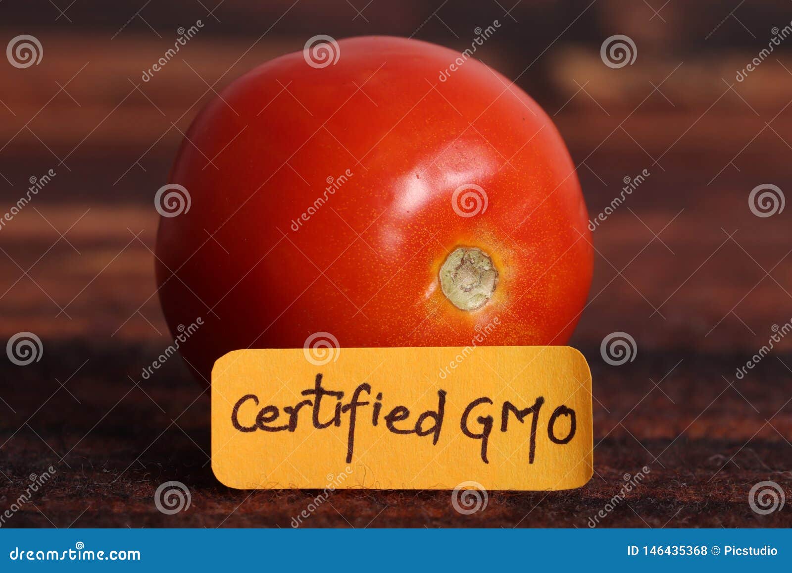 Certified gmo stock photo. Image of concept, beautiful - 146435368
