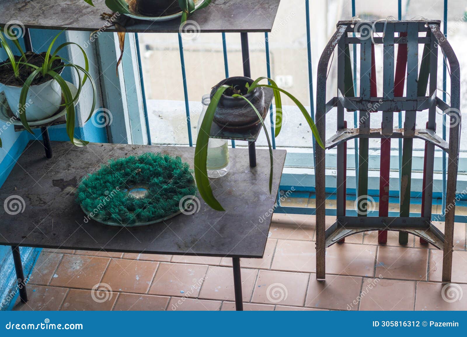 Concept Shot of the Soviet Era Corridor in the Building with Plants and ...