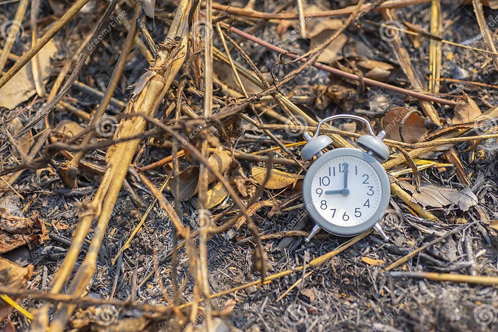 The Concept Shows the Meaning of Time with the Image of a Clock Placed ...