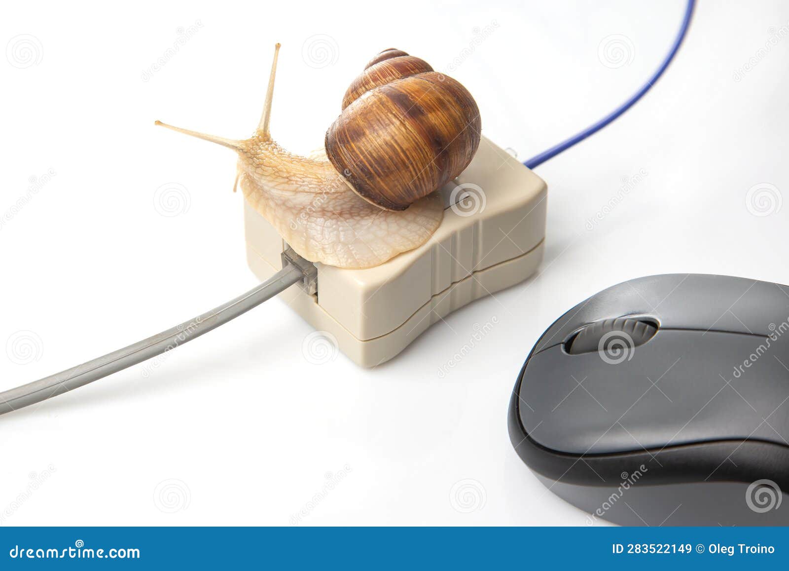 The Concept of Slow Internet and Working with a Computer. Snail on the ...