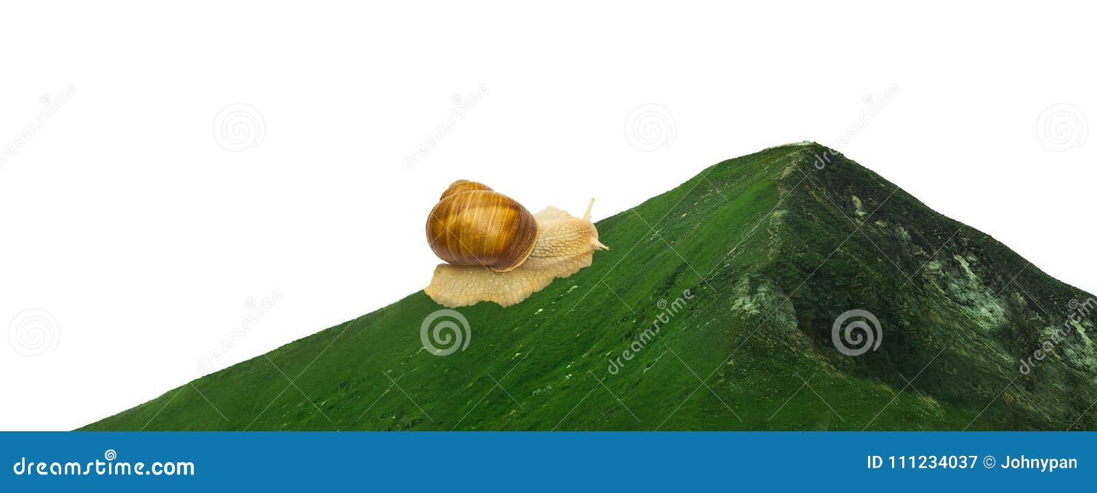 Concept of Snail Climbing a Big Mountain Stock Image - Image of snail ...