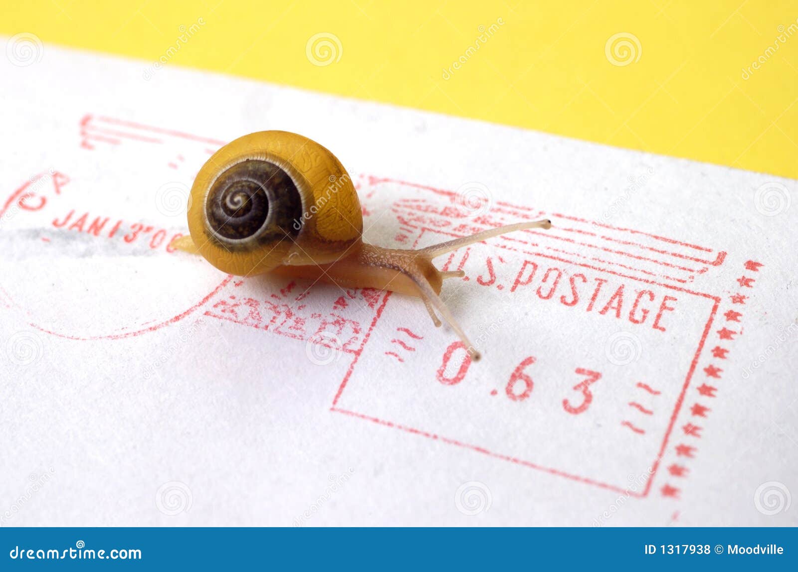Concept - Snail Mail stock photo. Image of animal, smail - 1317938