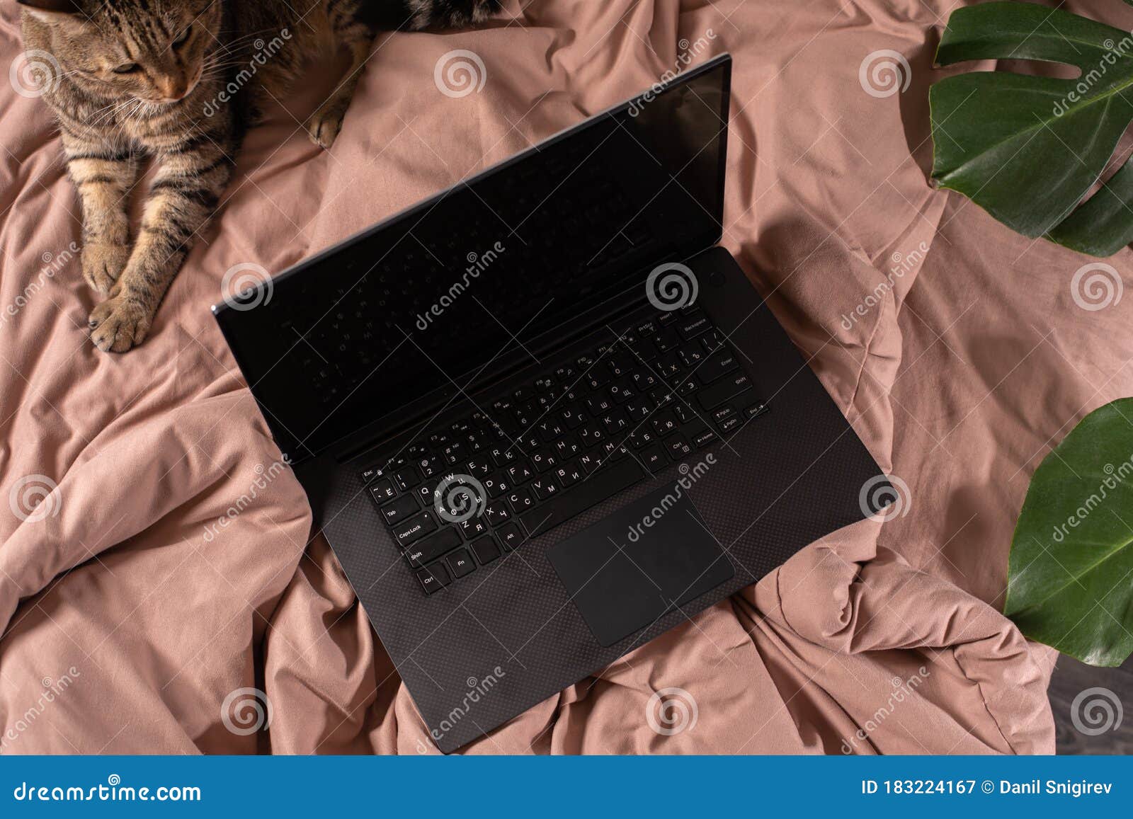 The Concept of Social Distance and Isolation. Work from Home Remotely ...