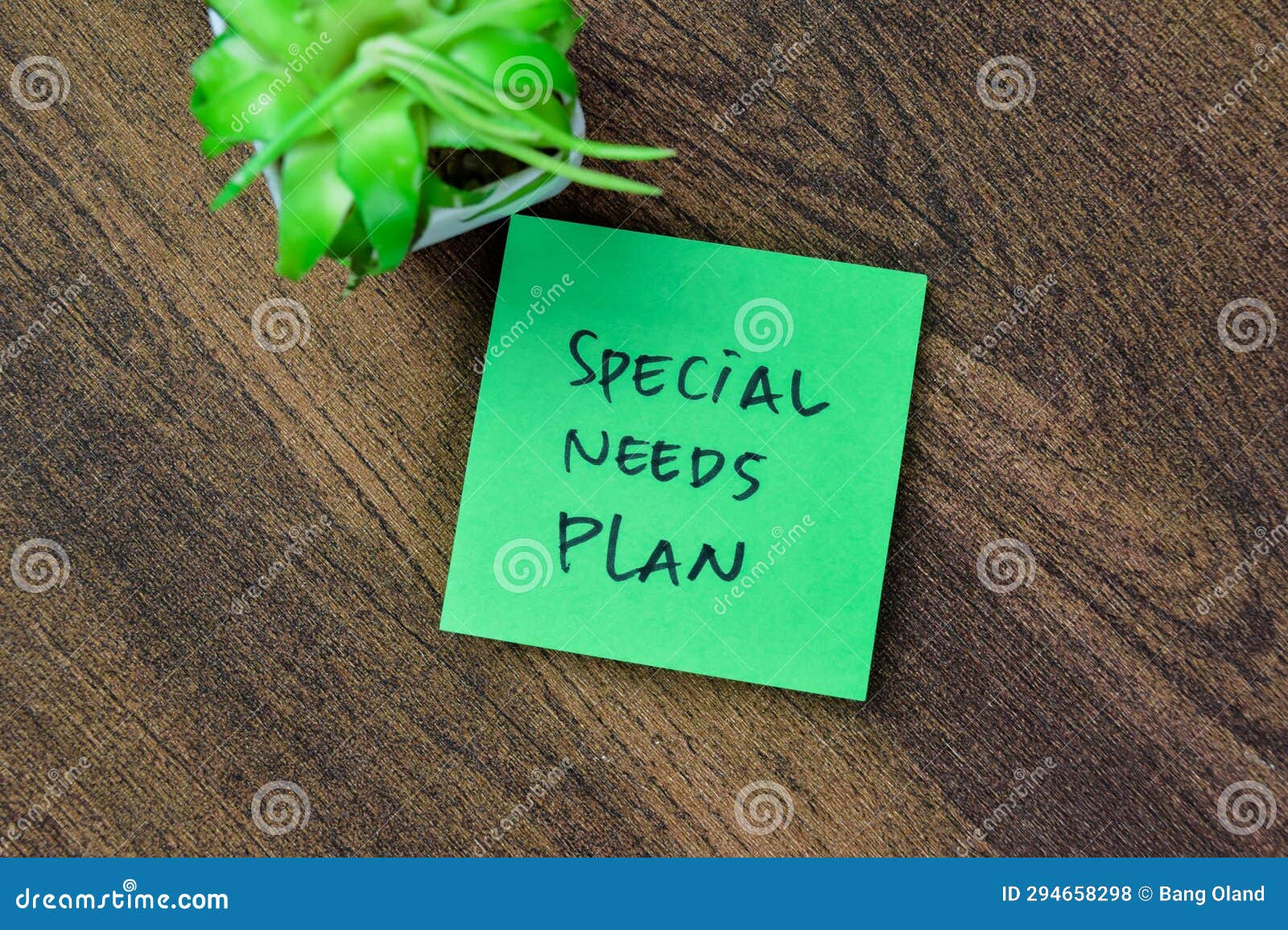 Concept of Special Needs Plan Write on Sticky Notes Isolated on Wooden ...
