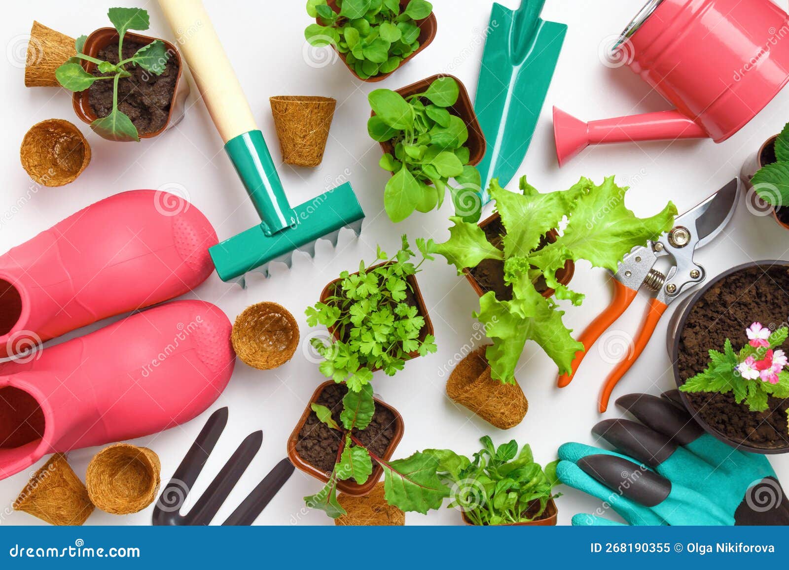 The Concept of Spring Work and Gardening. Tools and Plants on the Table ...