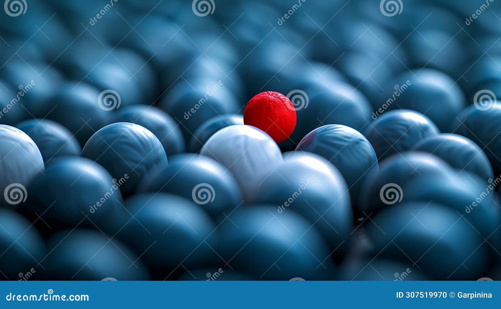 Concept of Standing Out from the Crowd, of Solving Problems, of Being ...