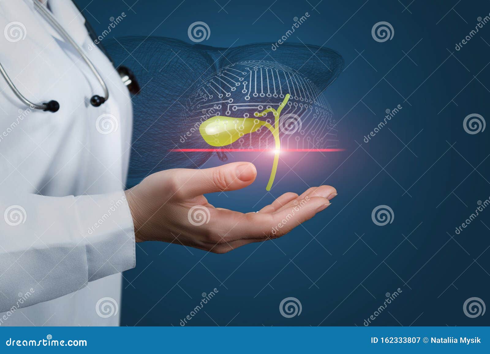 Diagnosis Of Gallbladder For Presence Of Disease. Doctor Hand In Glove ...