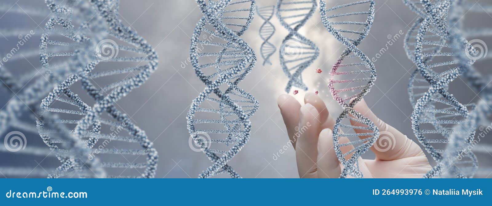 Study of DNA Molecules for Their Destruction and Decay Stock Photo ...
