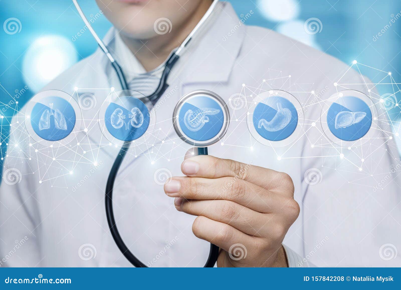 The Concept Study of the Internal Organs Stock Photo - Image of figure ...