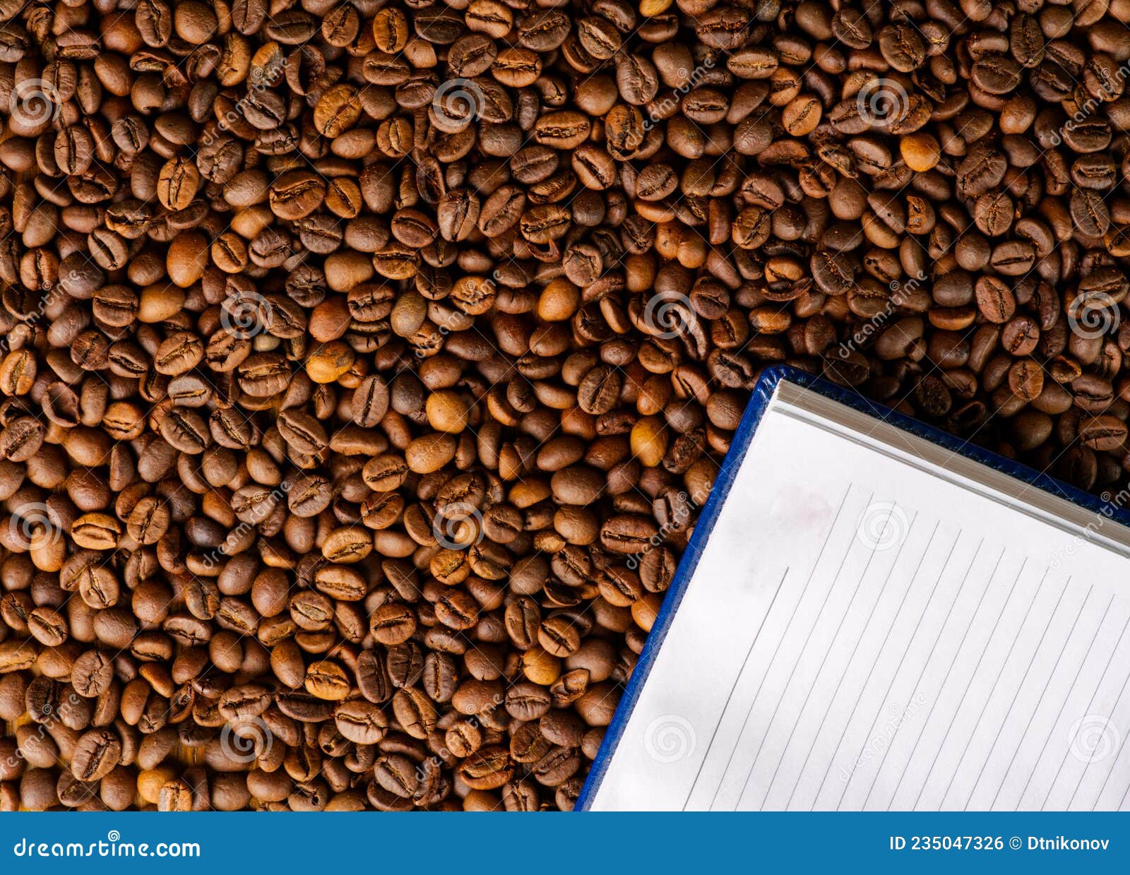 The Concept of Successful Intellectual Work. There is a Diary for Notes ...