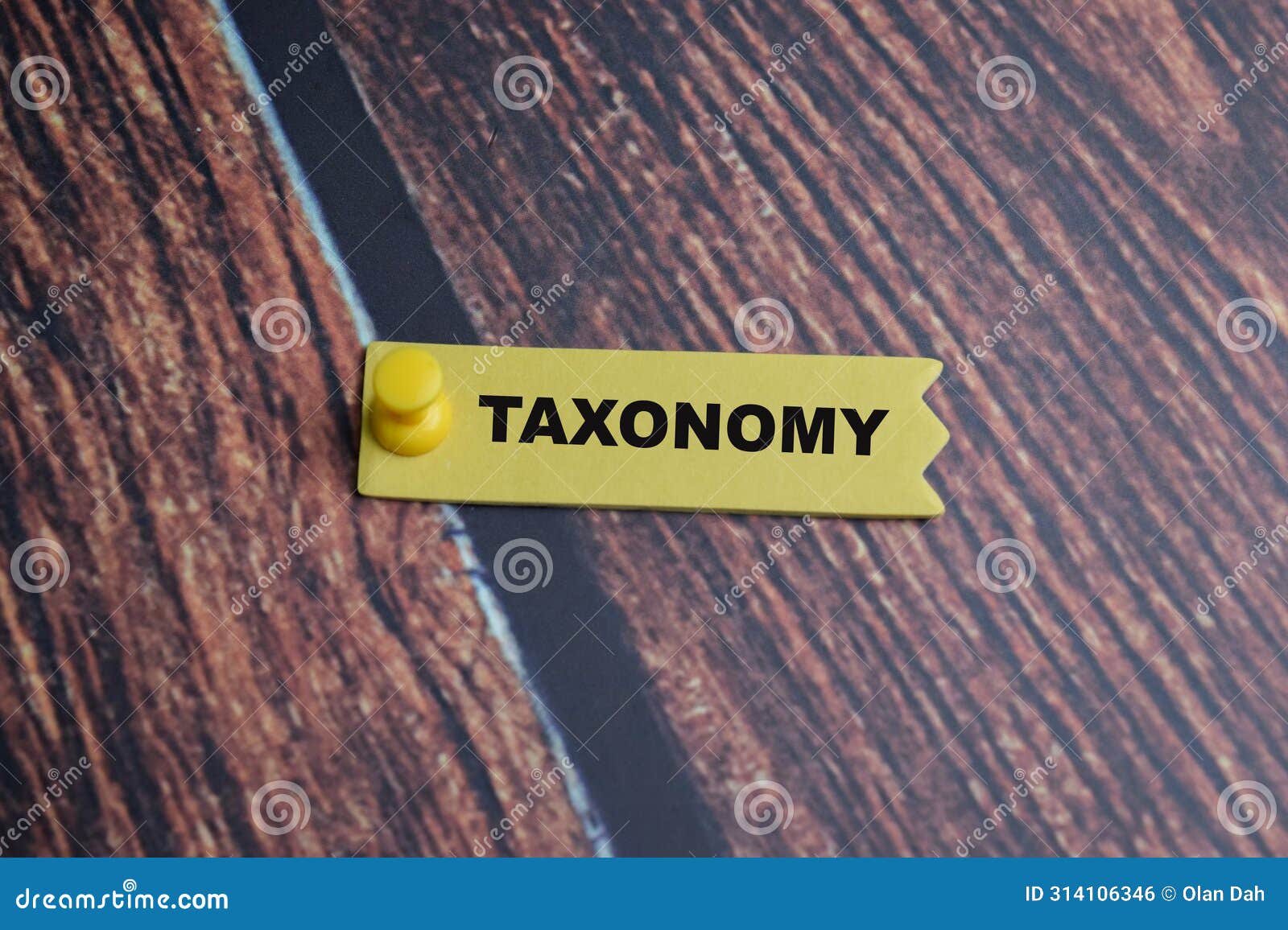 Concept Of Taxonomy Write On Sticky Notes Isolated On Wooden Table