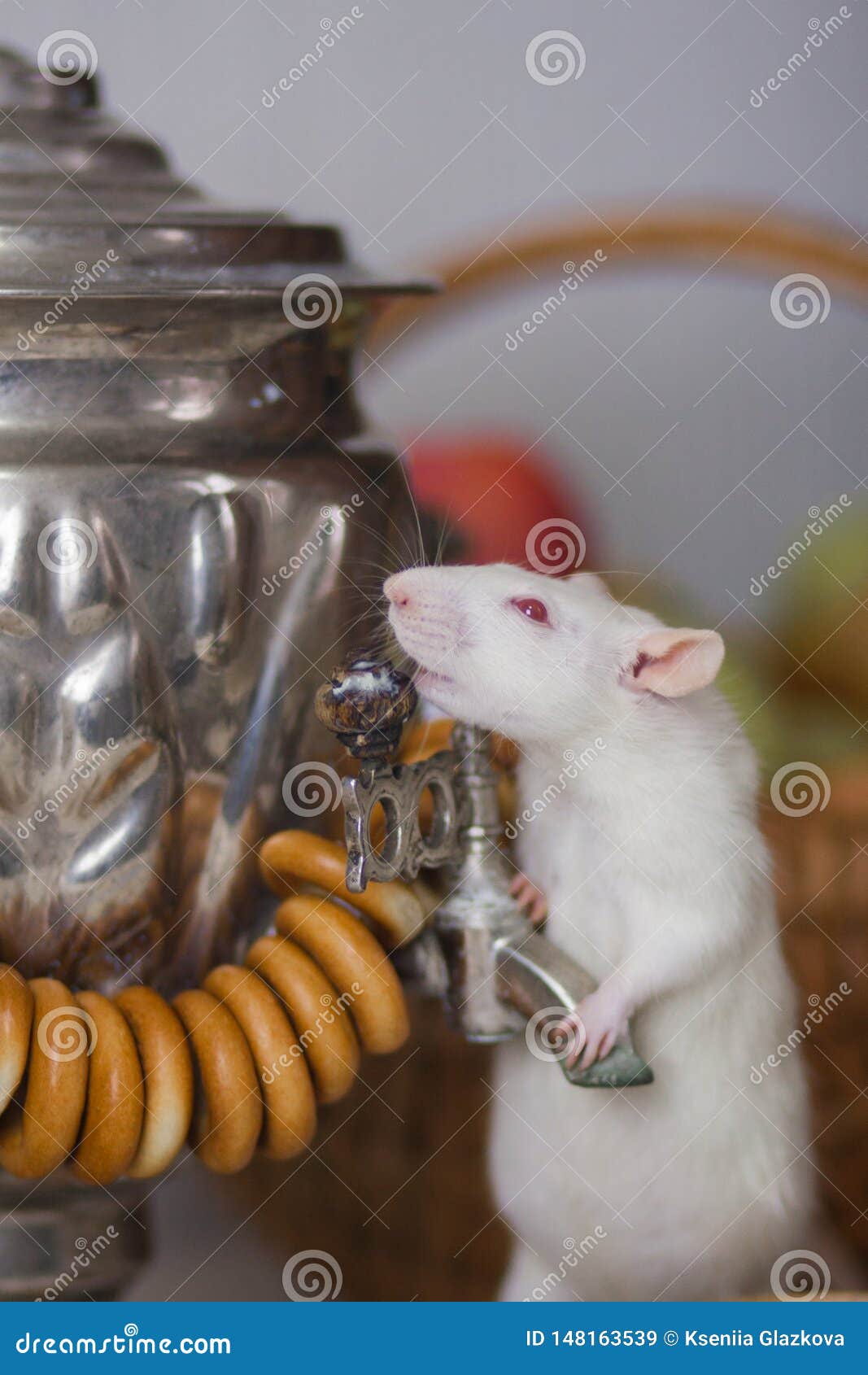 The Concept of Tea Drinking. White Rat with Samovar Stock Image - Image ...