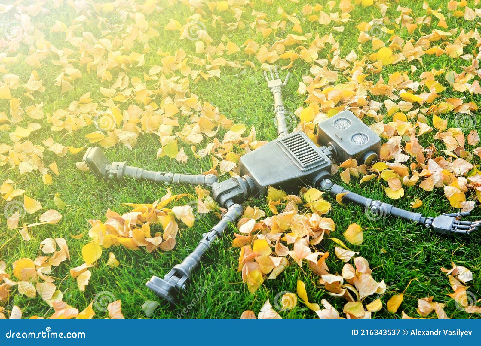 Happy Humanoid Robot Lies on the Autumn Grass Stock Image - Image of ...