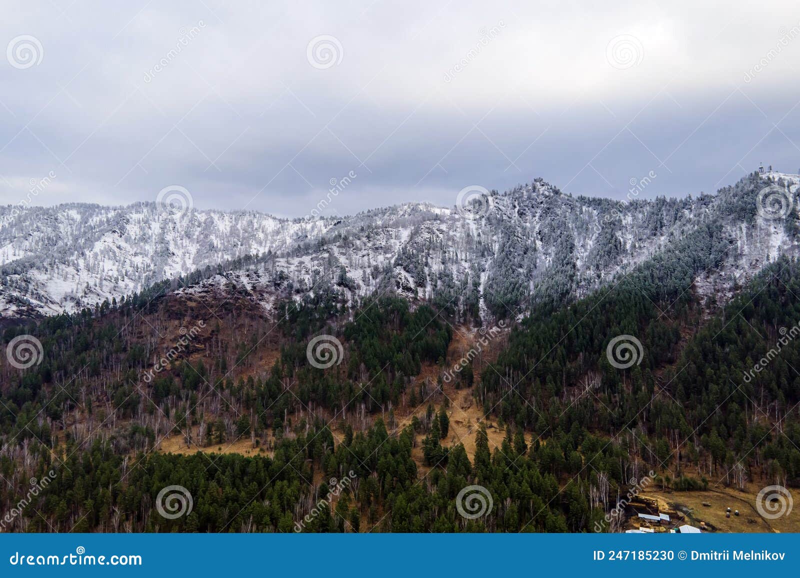 Concept of Temperature Difference in the Mountains. Green Christmas ...