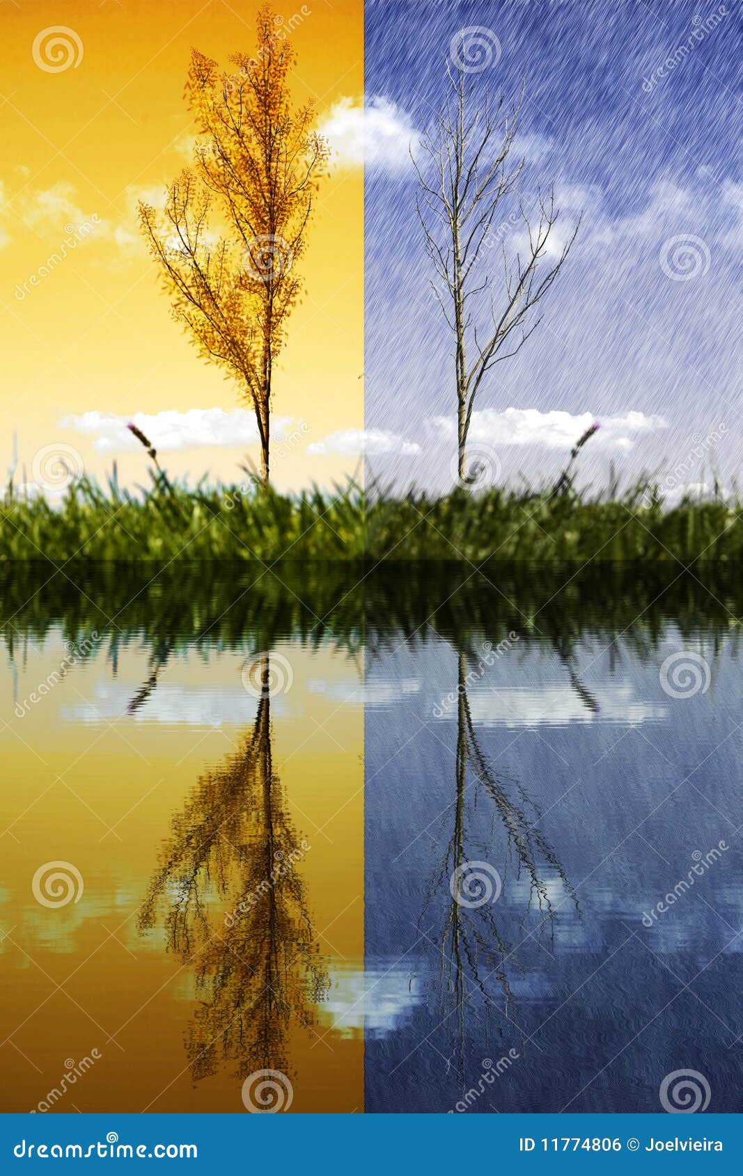 Concept transition seasons stock photo. Image of closeup - 11774806