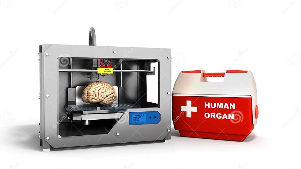 Concept of Transplantation Process of Creating Human Brain Using Stock ...