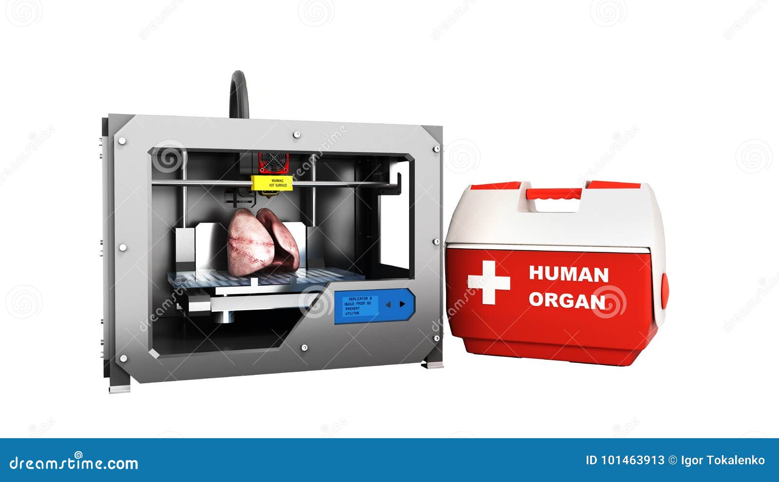 Concept of Transplantation Process of Creating Human Organs Using 3D ...