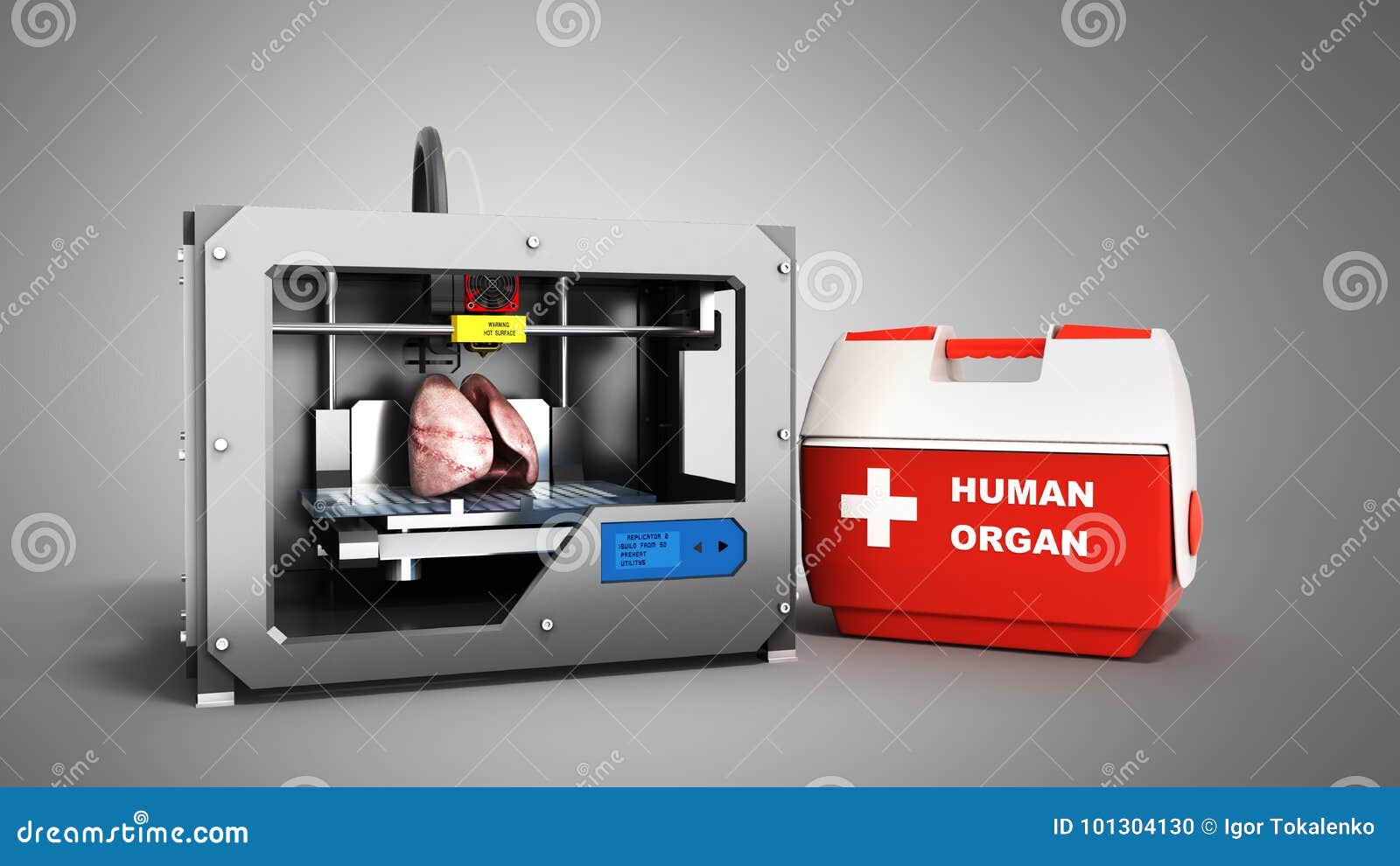 Concept of Transplantation Process of Creating Human Organs Using 3D ...