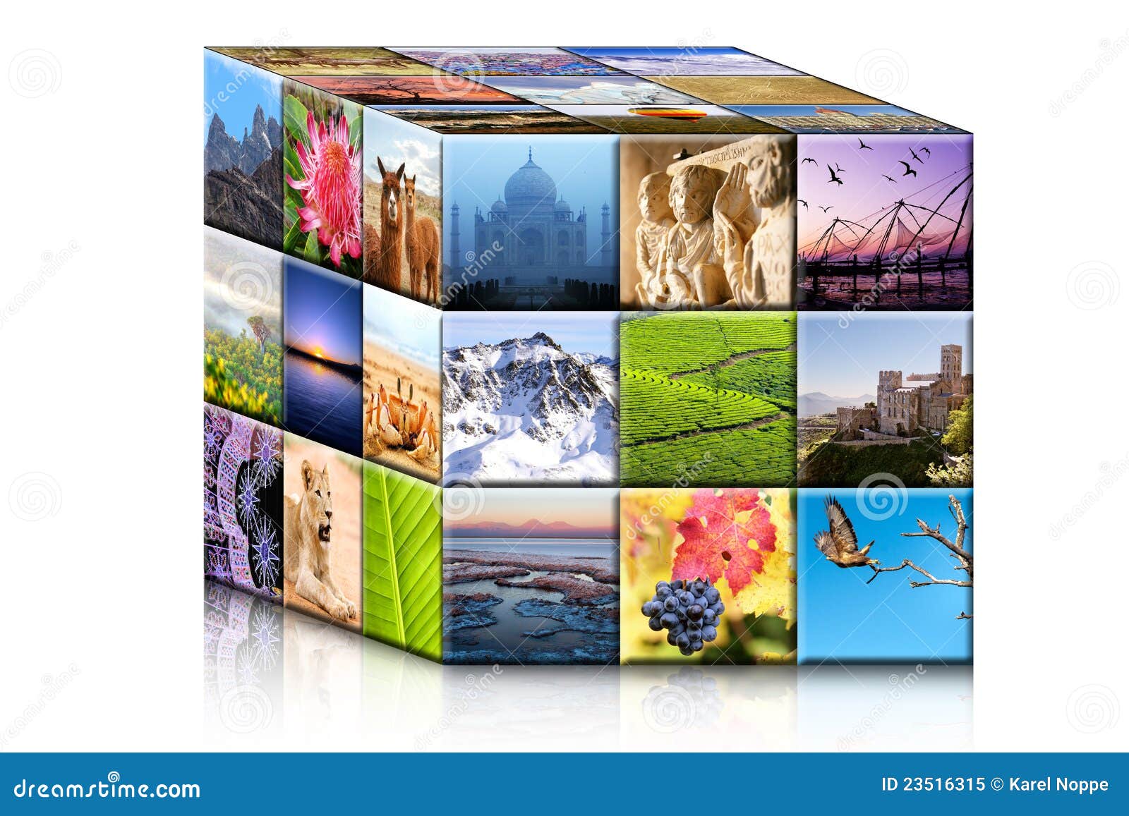Concept travel cube. stock image. Image of eagle, cube - 23516315