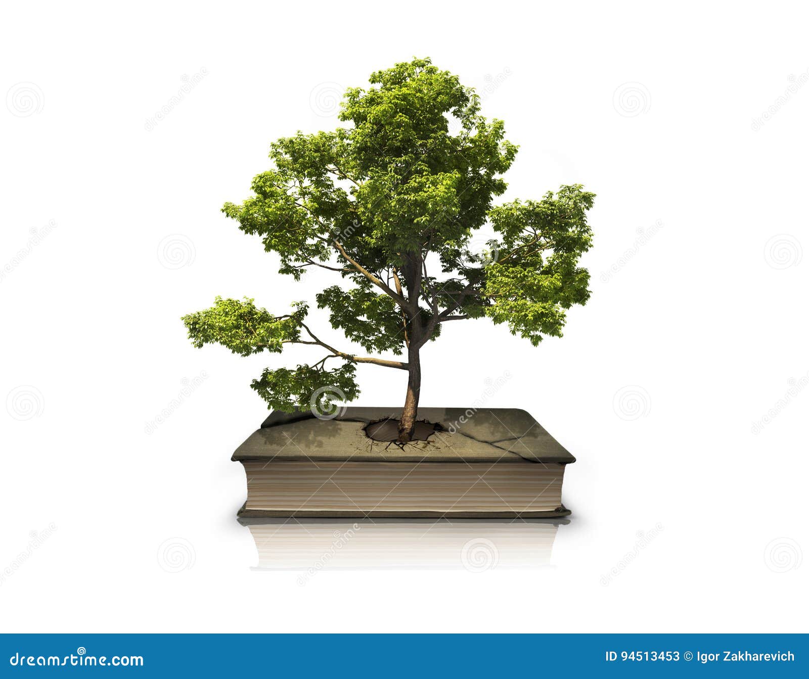 Concept tree from a book. stock image. Image of imagination - 94513453