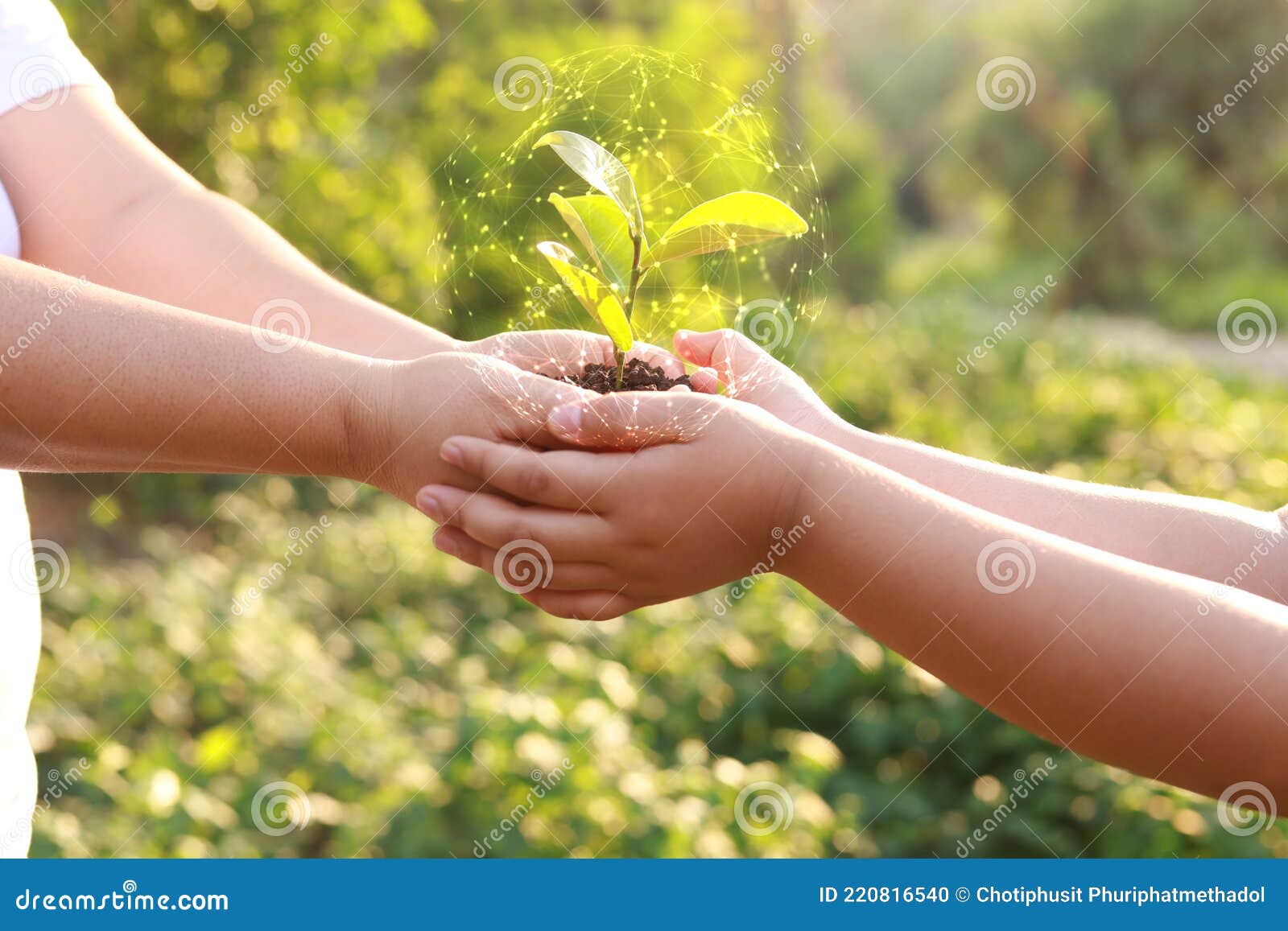 Concept of Tree Planting Campaign for Environment and Social ...