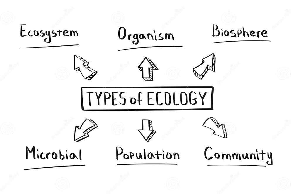 Concept of Types of Ecology Mind Map in Handwritten Style Stock Vector ...
