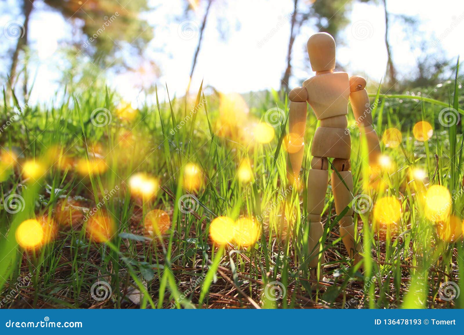 Concept of Vision and Different Thinking. Wooden Dummy Standing in the ...