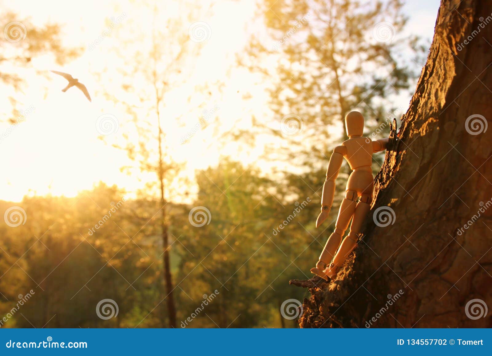 Concept of Vision and Different Thinking. Wooden Dummy Standing on Top ...