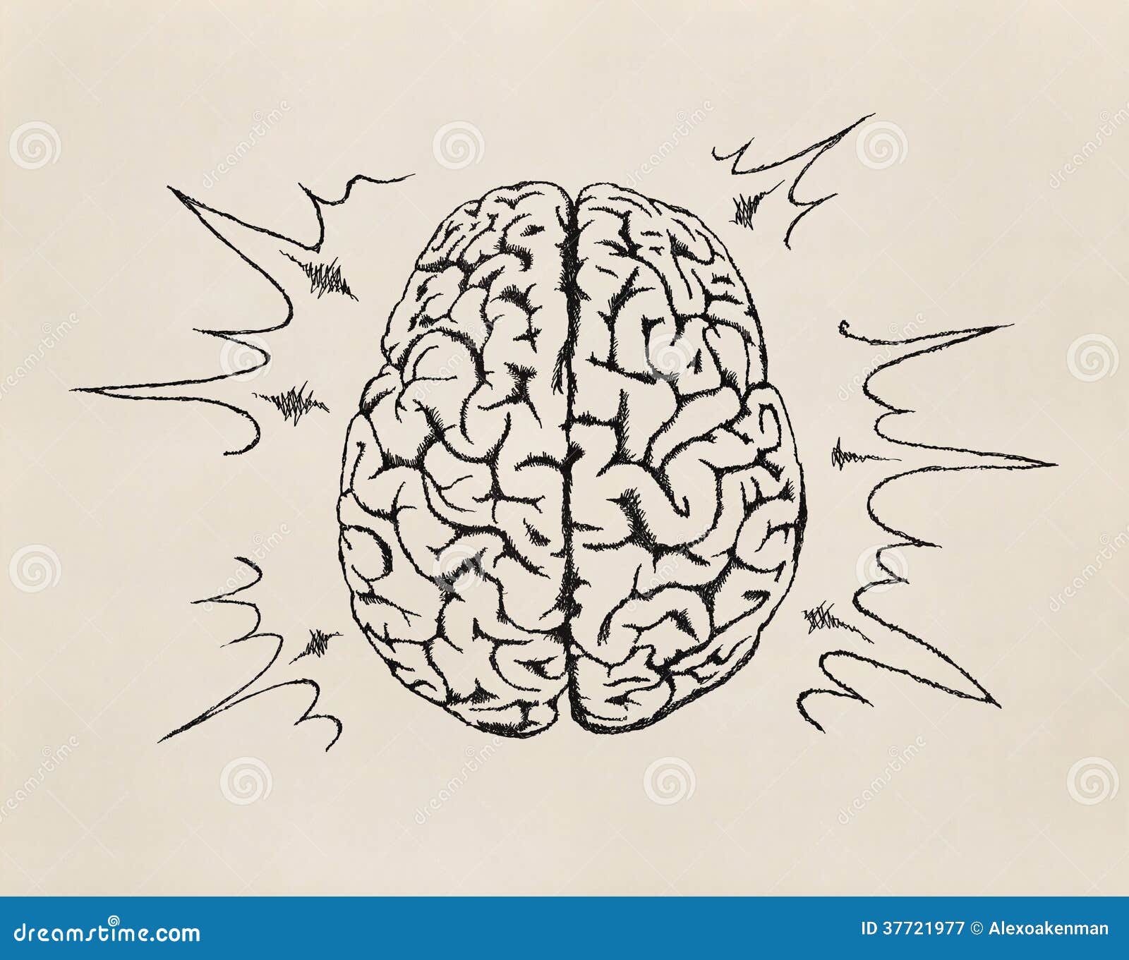 Concept Werkende Menselijke Hersenen. Schets. Stock Illustratie ...