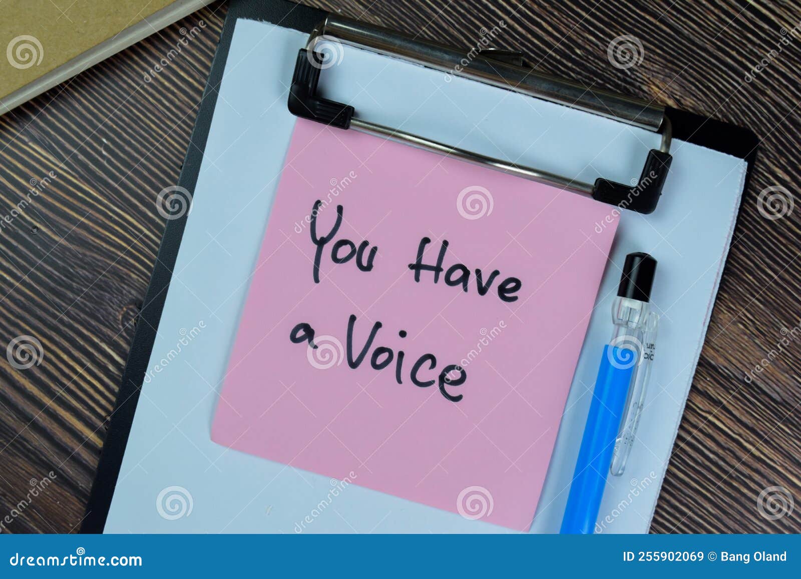 Concept Of You Have A Voice Write On Sticky Notes Isolated On Wooden